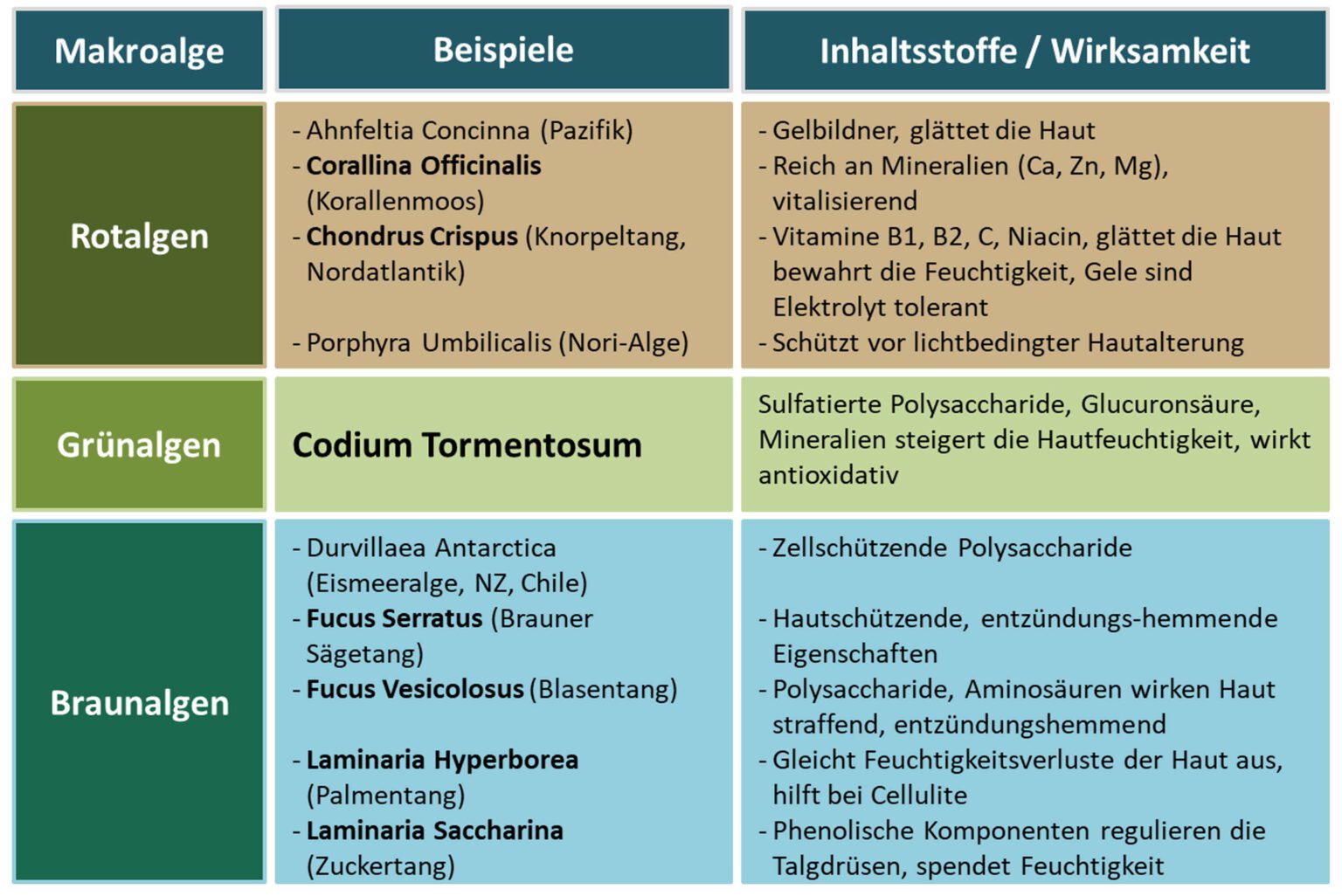 Bioaktive Wirkstoffe aus Algen: Retten Haut und Haar - DEJAYU Bioaktive Wirkstoffe aus Algen: Retten Haut und Haar - DEJAYU