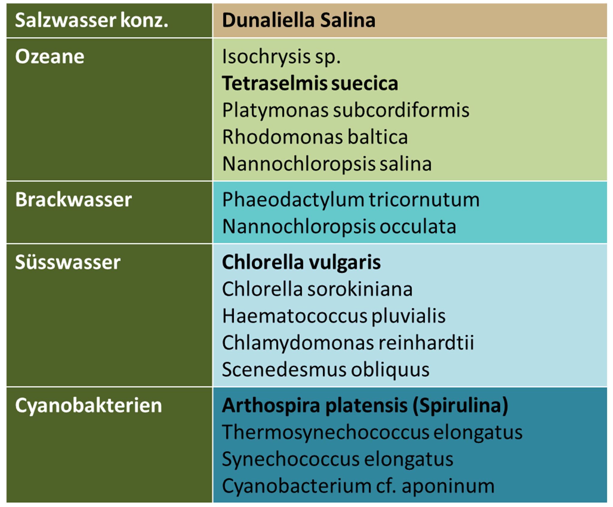 Bioaktive Wirkstoffe aus Algen: Retten Haut und Haar - DEJAYU Bioaktive Wirkstoffe aus Algen: Retten Haut und Haar - DEJAYU